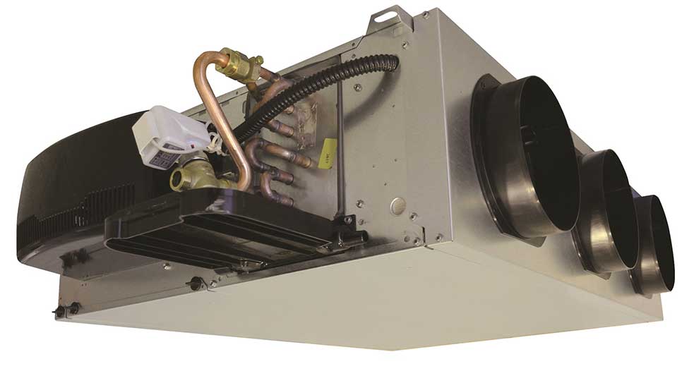 Ciat an all-round winner in Oval Village - Cooling Post