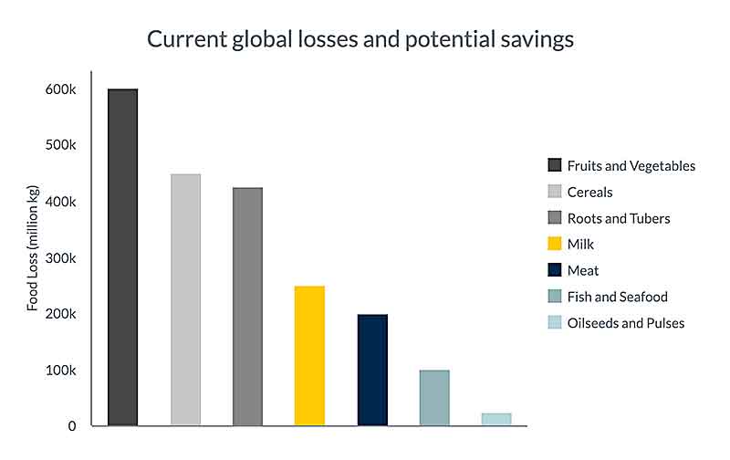 Improved cold chain could halve food waste - Cooling Post
